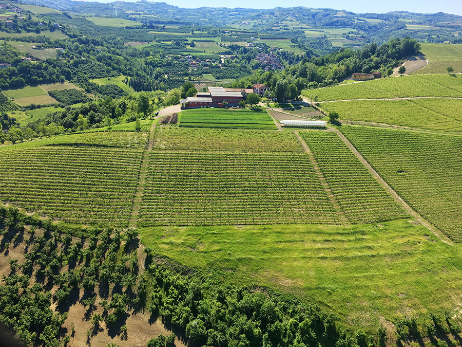 Rivetto: First Demeter Certified Barolo - Banville Wine Merchants